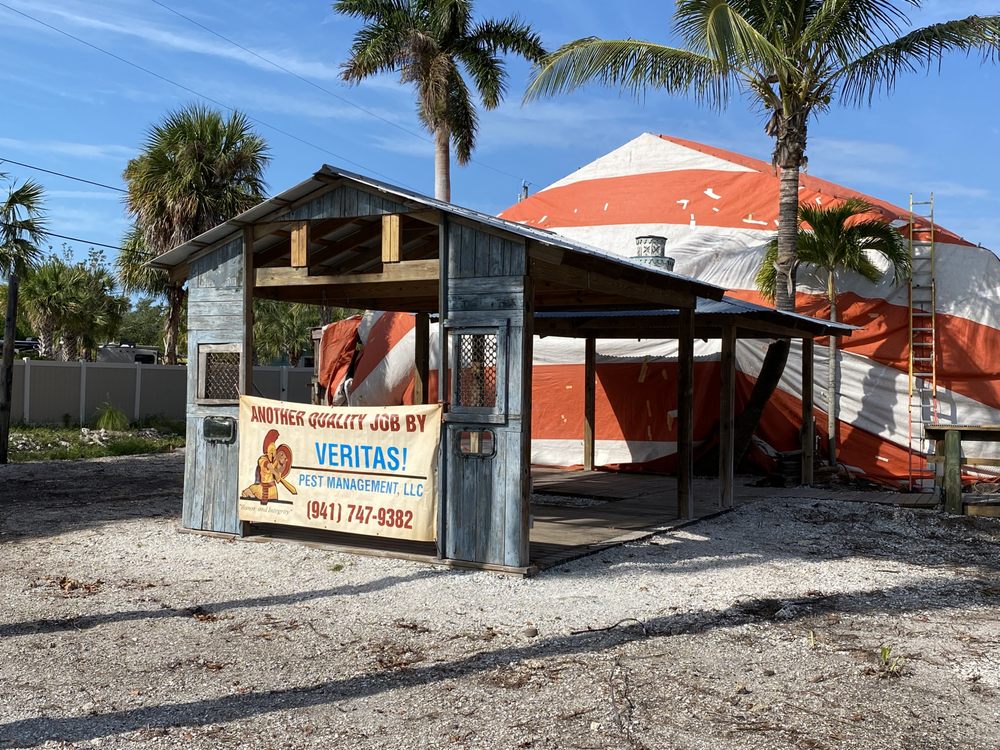 VERITAS PEST MANAGEMENT - Updated December 2025 - 222 Photos & 13 ...
