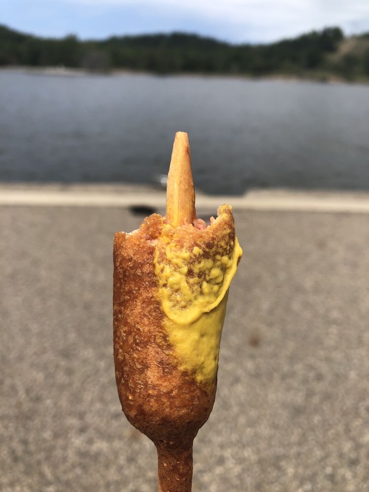 PRONTO PUPS - Updated May 2025 - 249 Photos & 202 Reviews - 313 S ...
