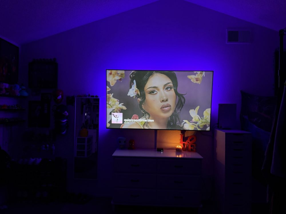 TV MOUNTING INSTALLATION - Updated January 2026 - 36 Photos & 22 ...