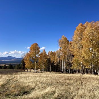 ASPEN NATURE LOOP - Updated December 2025 - 55 Photos & 18 Reviews ...