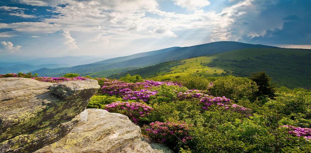 SPECTRUM LANDSCAPING SERVICES - Updated July 2025 - 41 W Main St ...