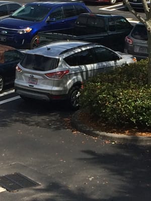 AUTONATION FORD MARGATE - Updated October 2025 - 35 Photos & 215 ...