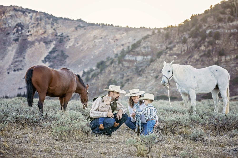 STILLGRASS VETERINARIANS - Updated December 2025 - 12 Photos - 3497 IL ...