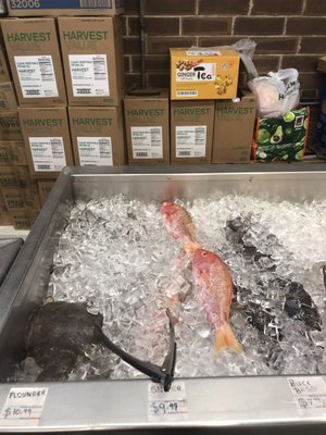 J FISH MARKET - Updated October 2025 - 27 Photos - 1650 Pacific St ...