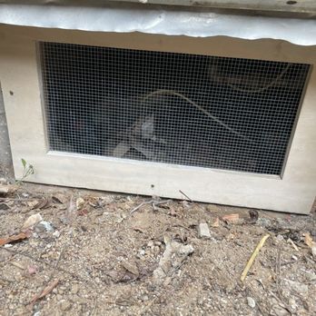 360 RODENT CONTROL - Updated September 2025 - 53 Photos - Escondido ...