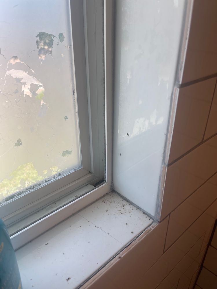 INDIO MANAGEMENT - 17 Photos & 81 Reviews - 4655 Insurance Ln, Dallas ...