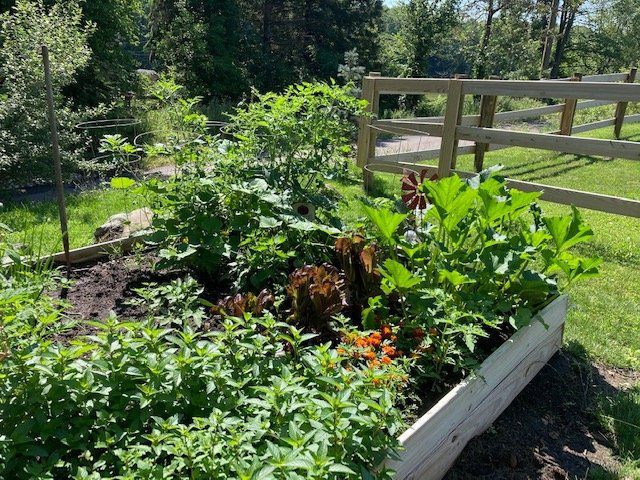 WARDELL MANOR FAMILY FARM - Updated October 2025 - 2927 Duana Dr ...