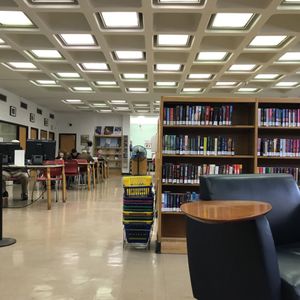 ANDREW HEISKELL BRAILLE AND TALKING BOOK LIBRARY - 15 Photos & 14 ...