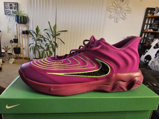 THE SHOE BOX - Updated January 2026 - 38 Photos & 119 Reviews - 1314 ...