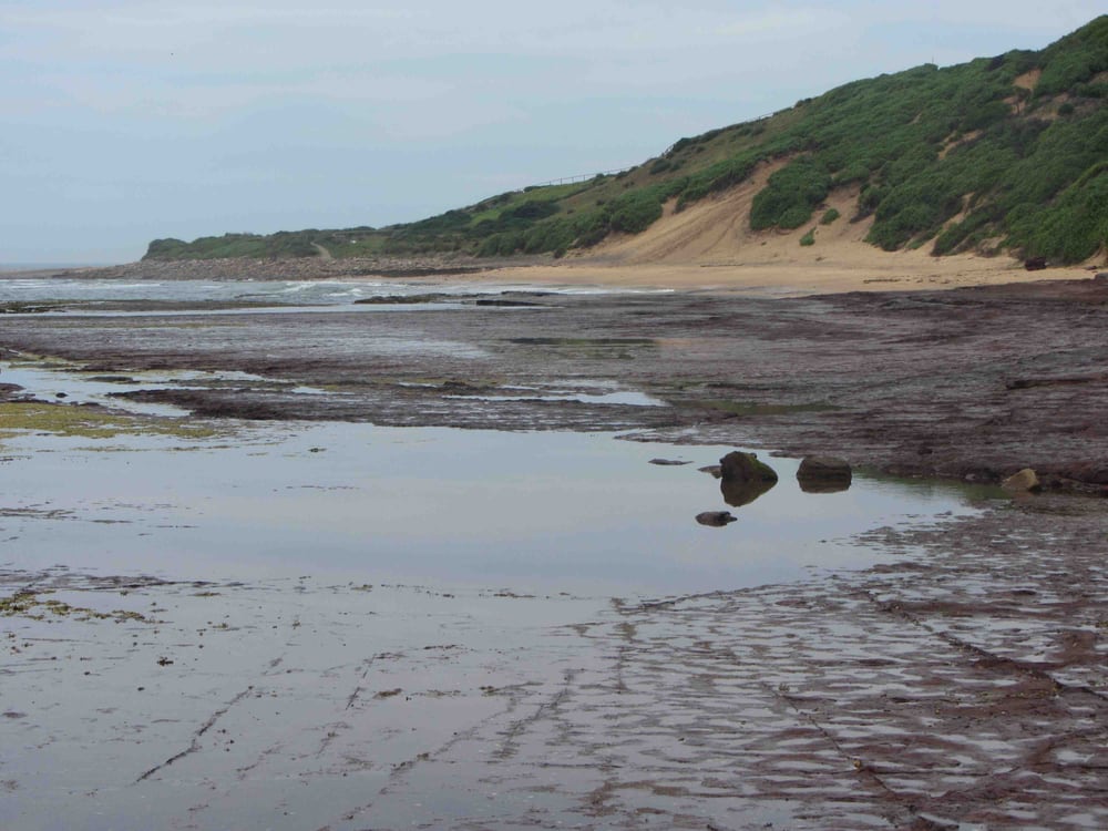 LONG REEF AQUATIC RESERVE - Updated July 2025 - Anzac Ave, Collaroy New ...