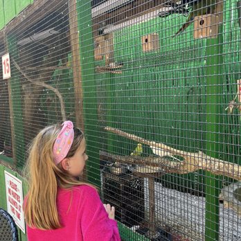 THE GIRLS STRAWBERRY U-PICK - Updated December 2025 - 1035 Photos & 258 ...