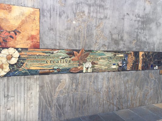 FALLBROOK BRANCH LIBRARY - Updated October 2025 - 34 Photos & 37 ...