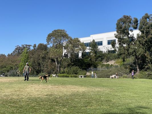 MEANLEY OPEN PARK 10368 Meanley Dr San Diego CA Yelp meanley-open-park-10368-meanley-dr-san-diego-ca-yelp