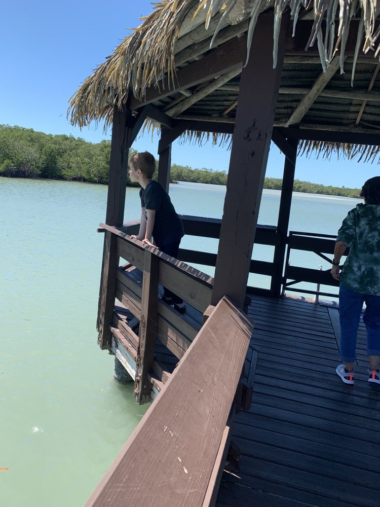 BAY FOREST - Updated June 2025 - 13 Photos - 377 Bay Forest Dr, Naples ...