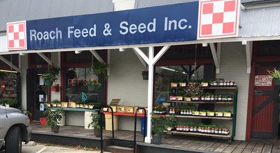 ROACH FEED & SEED - 35 Photos & 26 Reviews - 409 Main St, Garland, TX ...