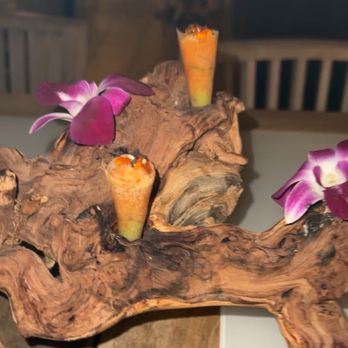 HAU TREE - Updated 2024 - 2171 Photos & 675 Reviews - 2863 Kalakaua Ave ...