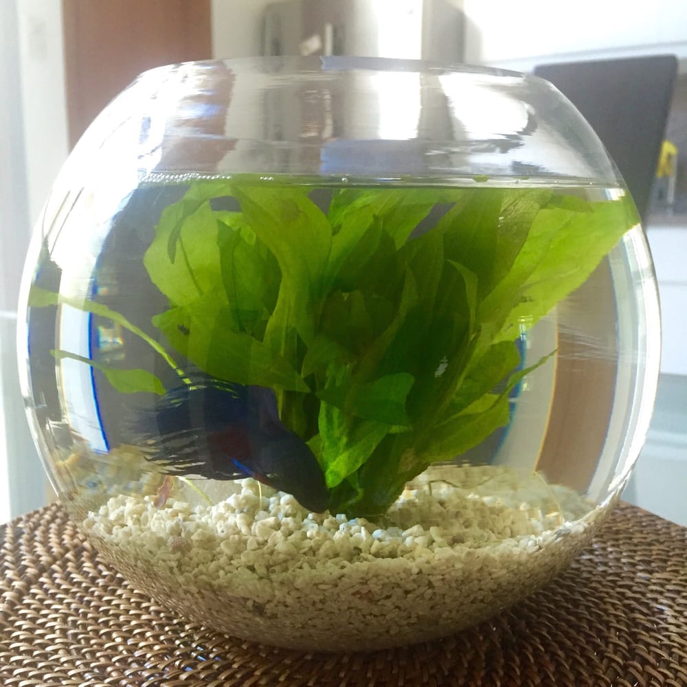 CARTIMAR SHOPPING CENTER - Updated October 2025 - Cartimar Avenue ...