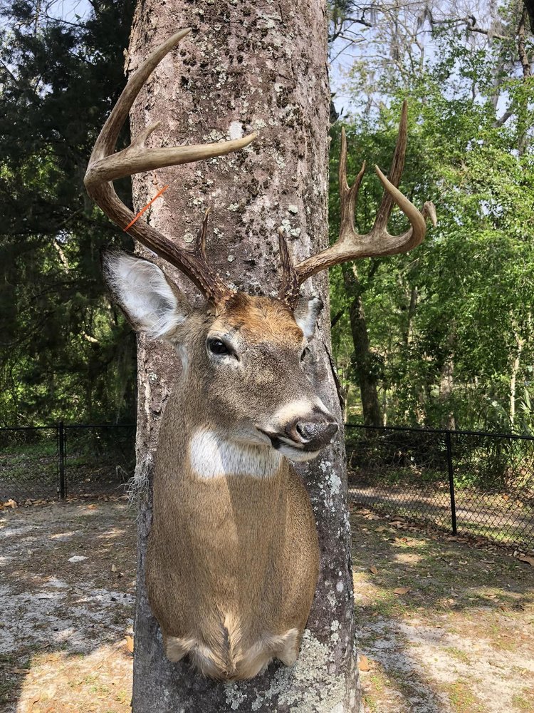 JORDAN WILDLIFE STUDIO - Updated April 2024 - Request Information - 845 ...