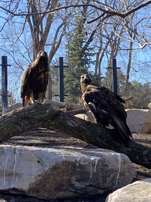 TRACY AVIARY - 424 Photos & 163 Reviews - 589 E 1300th S, Salt Lake ...