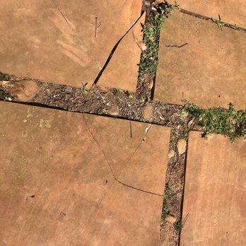 THE PINK PLUMBER - Updated May 2025 - 18 Photos & 327 Reviews - 2620 ...