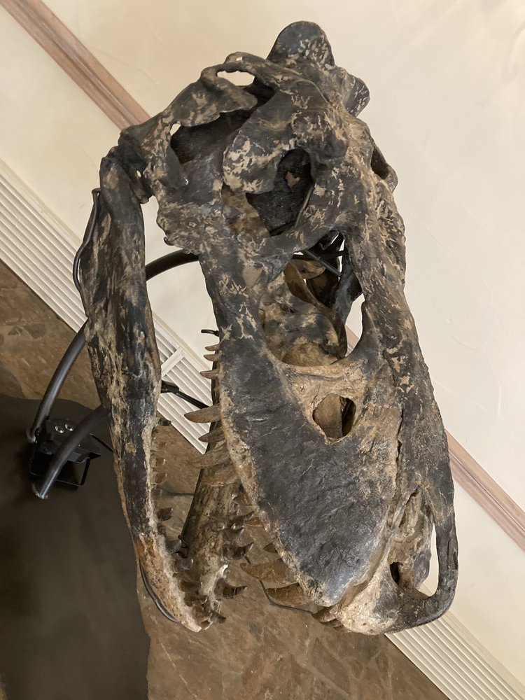 WHITE OAK - Updated February 2025 - 76 Photos & 11 Reviews - 581705 ...