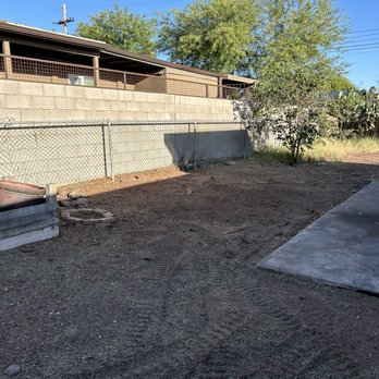 TREE MONKEY TREE TRIMMING - Updated December 2025 - 109 Photos & 71 ...