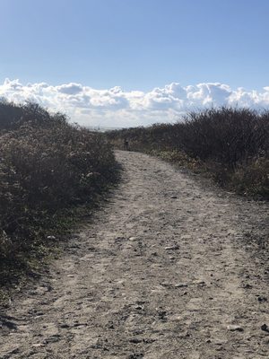 GOOSEBERRY ISLAND - Updated October 2025 - 28 Photos - E Beach Rd ...