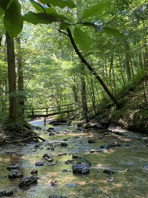 MACHINE FALLS LOOP TRAIL - Updated December 2024 - 93 Photos & 12 ...