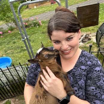 ROSE BRIDGE FARM & SANCTUARY - Updated March 2025 - 225 Photos & 77 ...