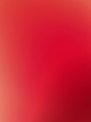 SOL FLOWER - Updated December 2025 - 14 Reviews - 4837 N 1st Ave ...