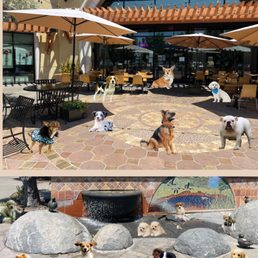 TOAST - NOVATO - Updated December 2025 - 784 Photos & 1174 Reviews ...