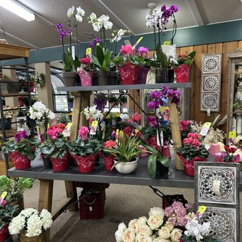 RENNING’S FLORIST & FLOWER DELIVERY - Updated December 2025 - 26 Photos ...