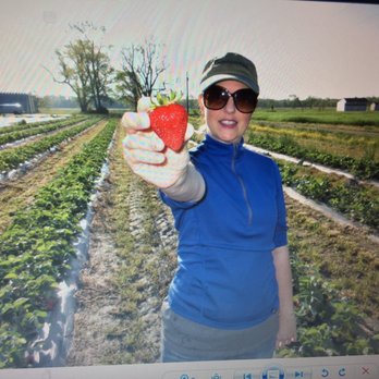 VAUGHAN FARMS’ PRODUCE - Updated June 2026 - 1258 Princess Anne Rd ...