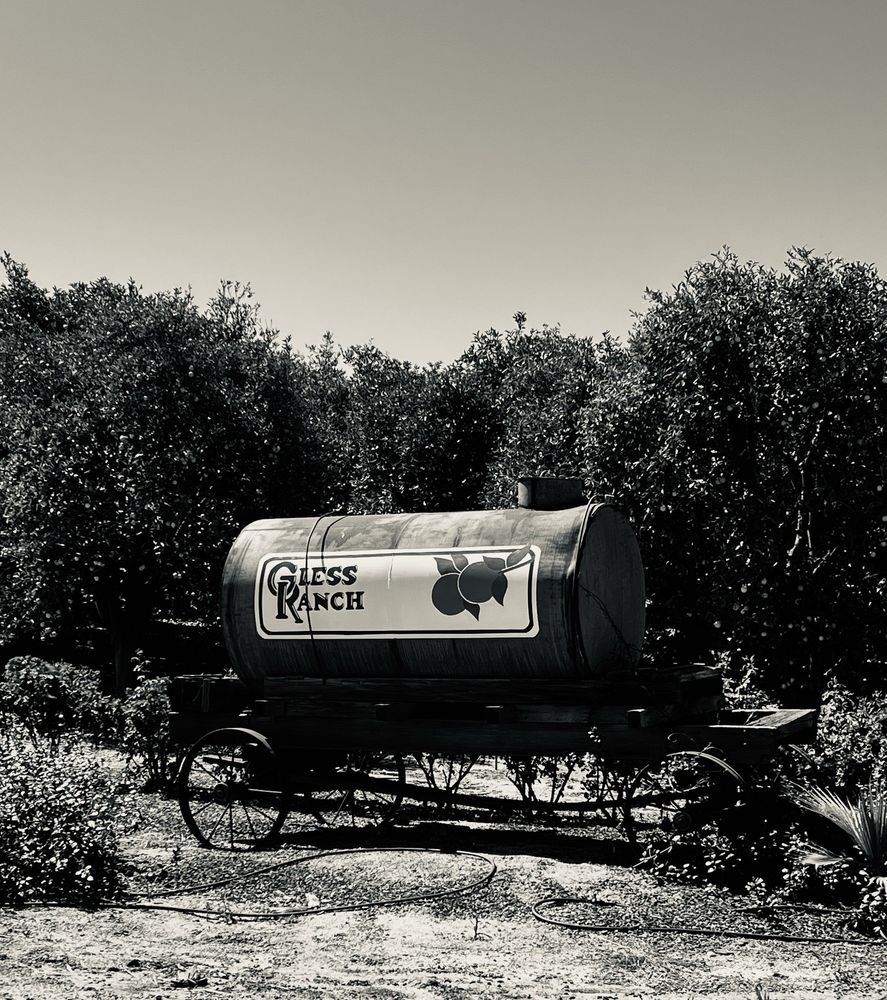 GLESS RANCH FRESH CITRUS - Updated November 2025 - 47 Photos & 29 ...