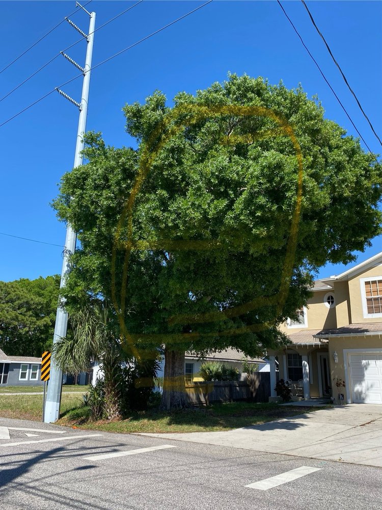 ALL WEATHER TREE AND LANDSCAPING SERVICE - Updated September 2025 - 28 ...