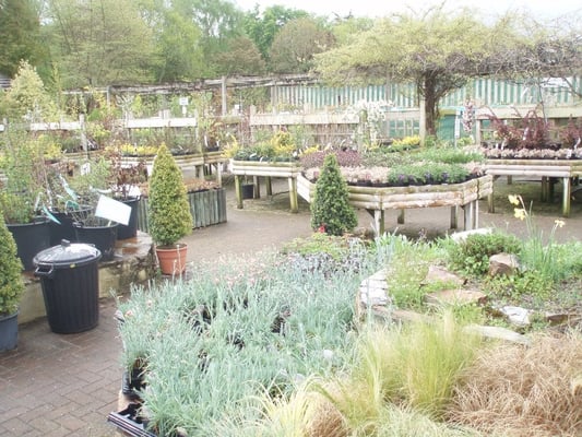 BRACKENWOOD PLANT AND GARDEN CENTRE - Updated July 2024 - Pill Road ...