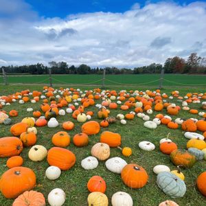 FALLBROOK FARMS - Updated October 2025 - 13260 Fallbrook Trail ...