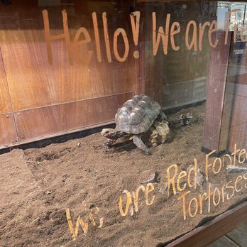 PREUSS PETS - Updated December 2025 - 97 Photos & 93 Reviews - 1127 N ...