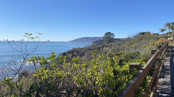 SHELL BEACH BLUFF TRAIL - 14 Photos - Indio Dr & Bluff Dr, Pismo Beach ...