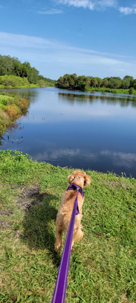 RED BUG SLOUGH - 15 Photos - 5200 Beneva Rd, Sarasota, Florida - Hiking ...