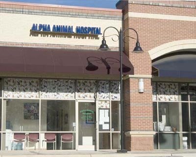 ALPHA ANIMAL HOSPITAL - Updated December 2025 - 88 Reviews - 11725 Lee Hwy, Fairfax, Virginia ...