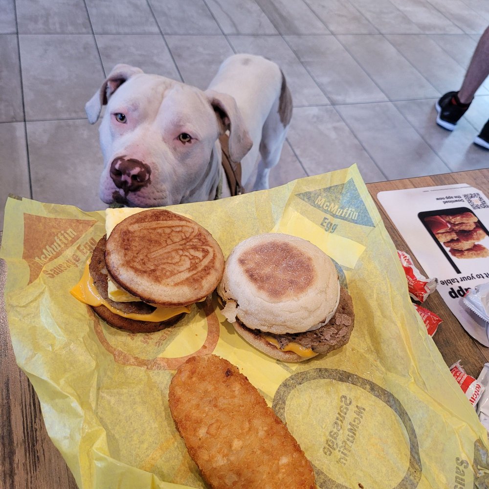 MCDONALD’S - Updated December 2025 - 14 Photos & 14 Reviews - 5600 ...