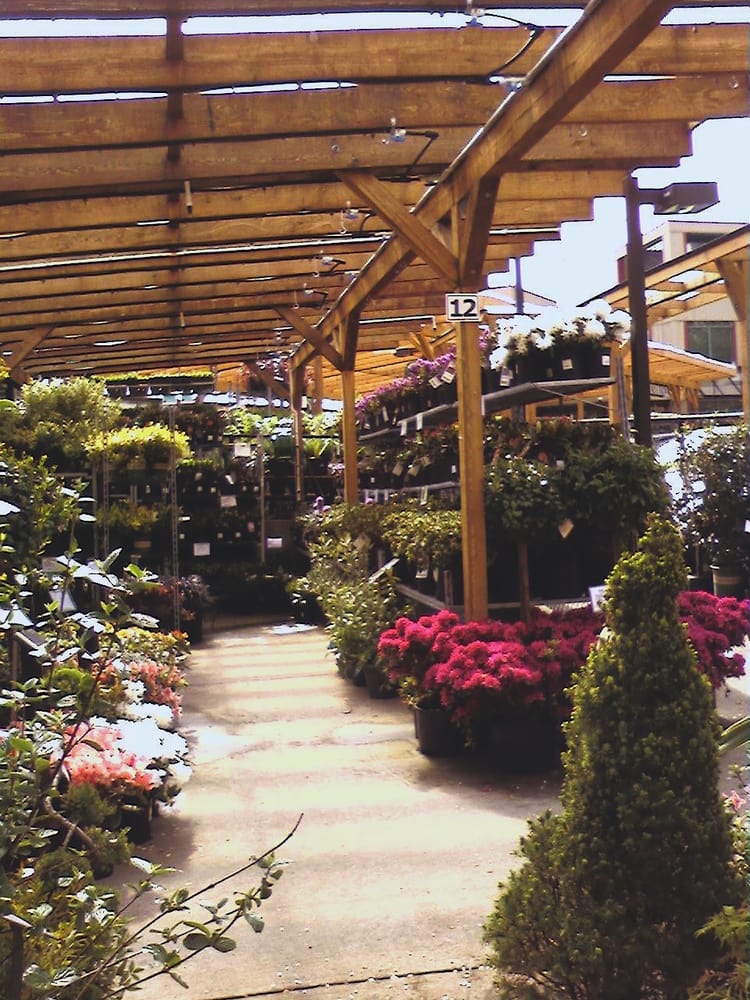 MAPLE LEAF GARDEN CENTRE - Updated January 2026 - 1343 Lynn Valley Rd ...