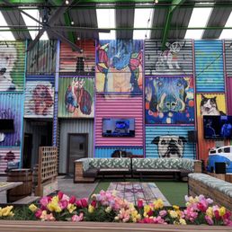 BACKYARD - DALLAS - Updated July 2025 - 524 Photos & 413 Reviews - 505 ...