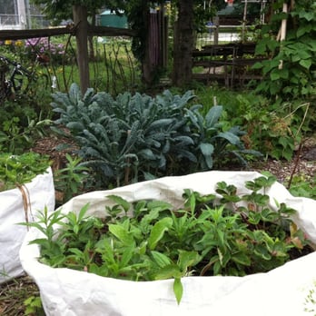 DUFFERIN GROVE PARK - Updated October 2025 - 34 Photos & 15 Reviews ...