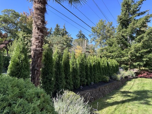 VAN’S LANDSCAPE - Updated November 2025 - 115 Photos & 135 Reviews ...