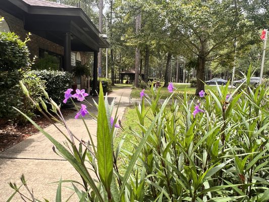 ALABAMA REST AREA - Updated September 2025 - 12 Photos - State Highway ...