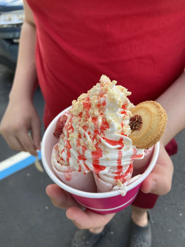 LET’S ROLL WITH IT, ROLLED ICE CREAM - 1602 N Mitchell St, Cadillac ...