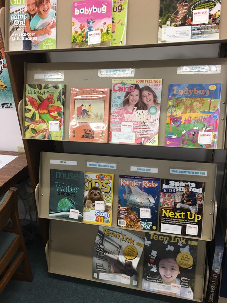 PALM SPRINGS PUBLIC LIBRARY - Updated June 2025 - 217 Cypress Ln, Lake ...