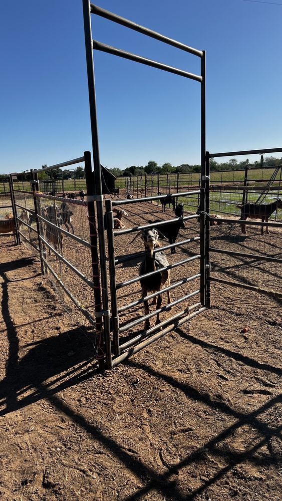 MOTHER NATURE’S FARM - Updated November 2024 - 323 Photos & 189 Reviews ...